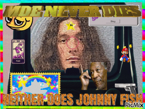 JohnnyFish (@johnnyfish) | Fishnet